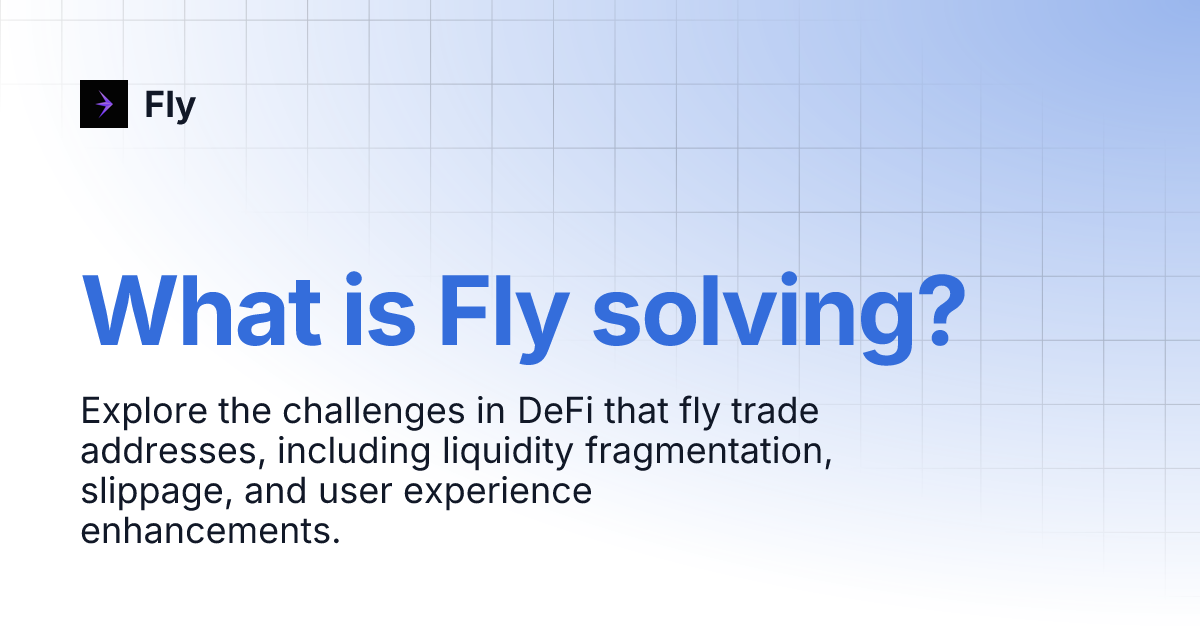 What is Fly solving? | Fly